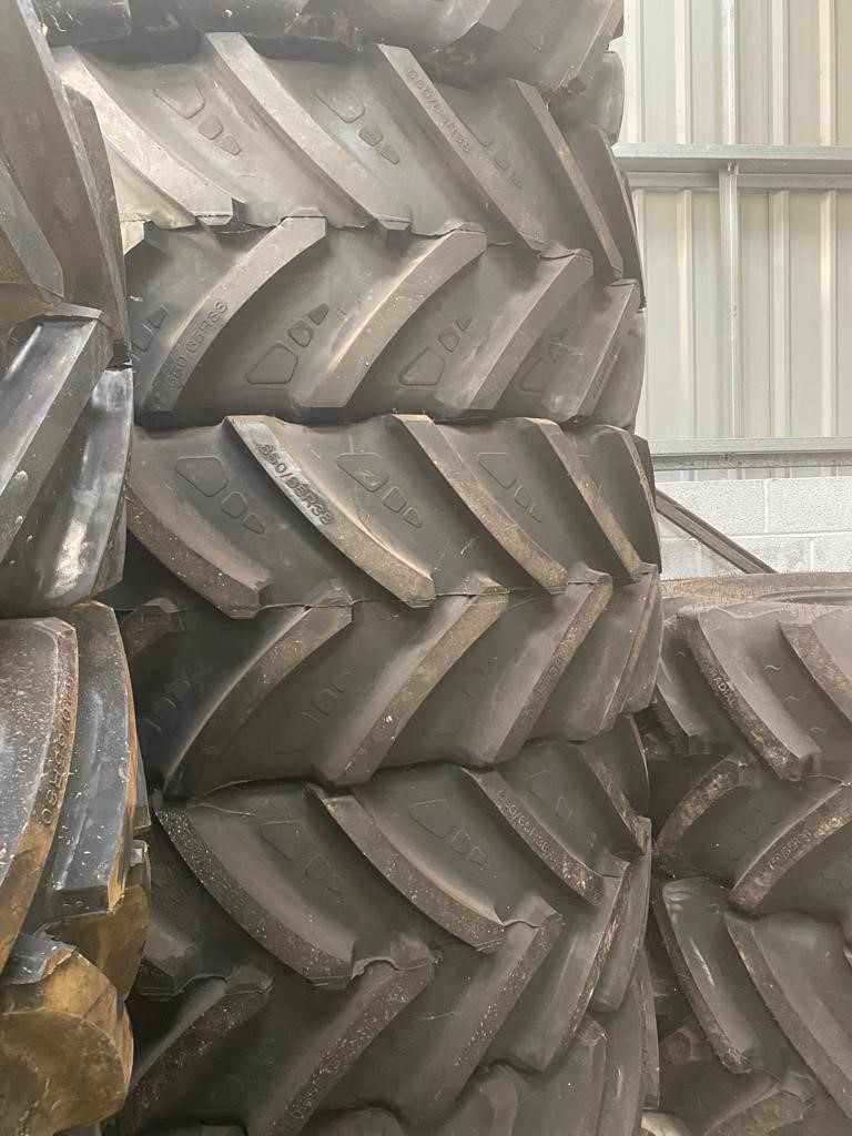 M3393 - Michael Burdge